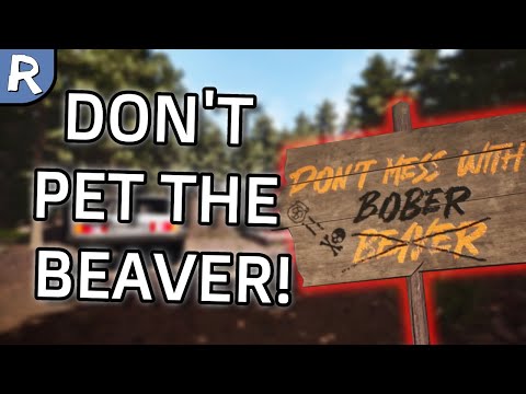 I Will Never Look At Beavers The Same | Don't Mess With Bober