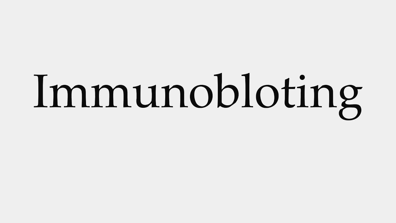 How to Pronounce Immunobloting - YouTube