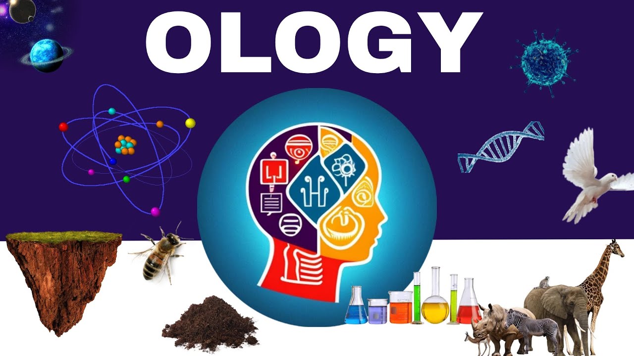 OLOGY Words With Suffix Ology With Examples YouTube ology-words-with-suffix-ology-with-examples-youtube