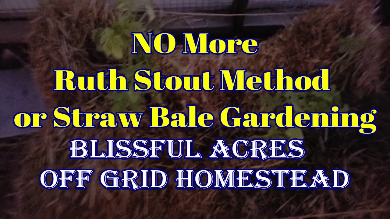 No Ruth Stout Method or Straw Bale Gardening for Us - YouTube