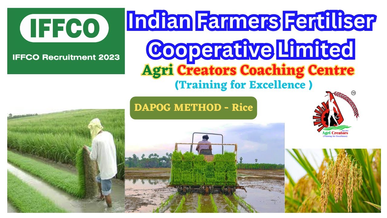 Dapog Method - Paddy Cultivation | Agriculture Graduate Trainee (AGT ...