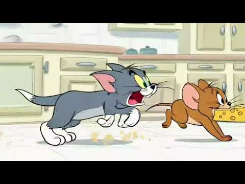 Beloved Enemy Tom And Jerry Episode 2/Kitchen Mai hua dhamal 