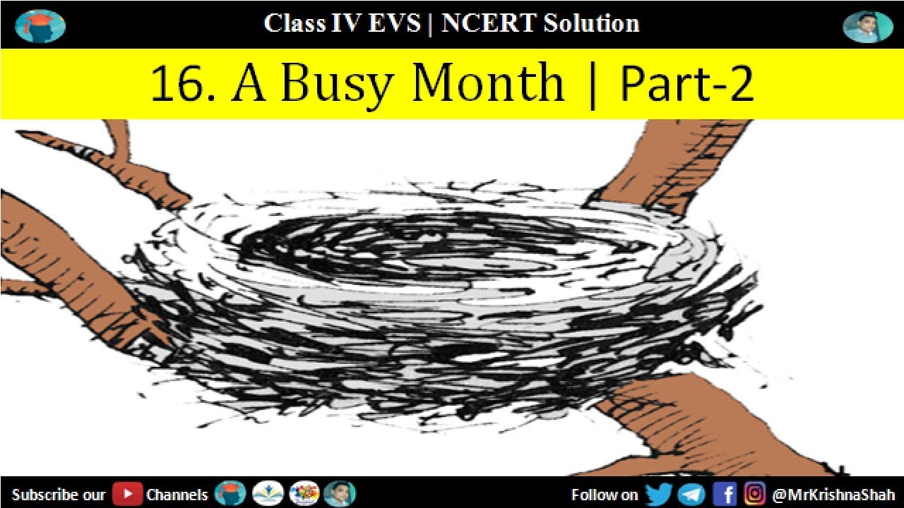 A busy month - Chapter 16 Class 4 EVS | Part 2 - YouTube