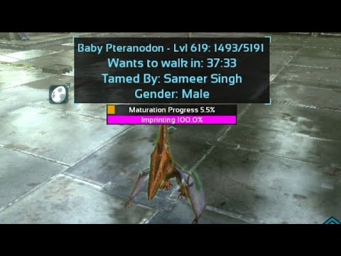 NEW PETRONODON BABY & GRAFT:ULTIMACY TAMING ARK SURVIVAL EVOLVED MOBILE ...