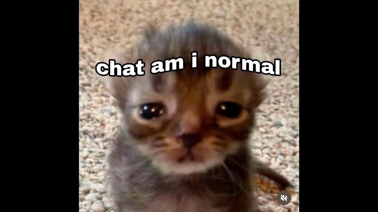 Chat am I normal?? | Bgmi live - YouTube