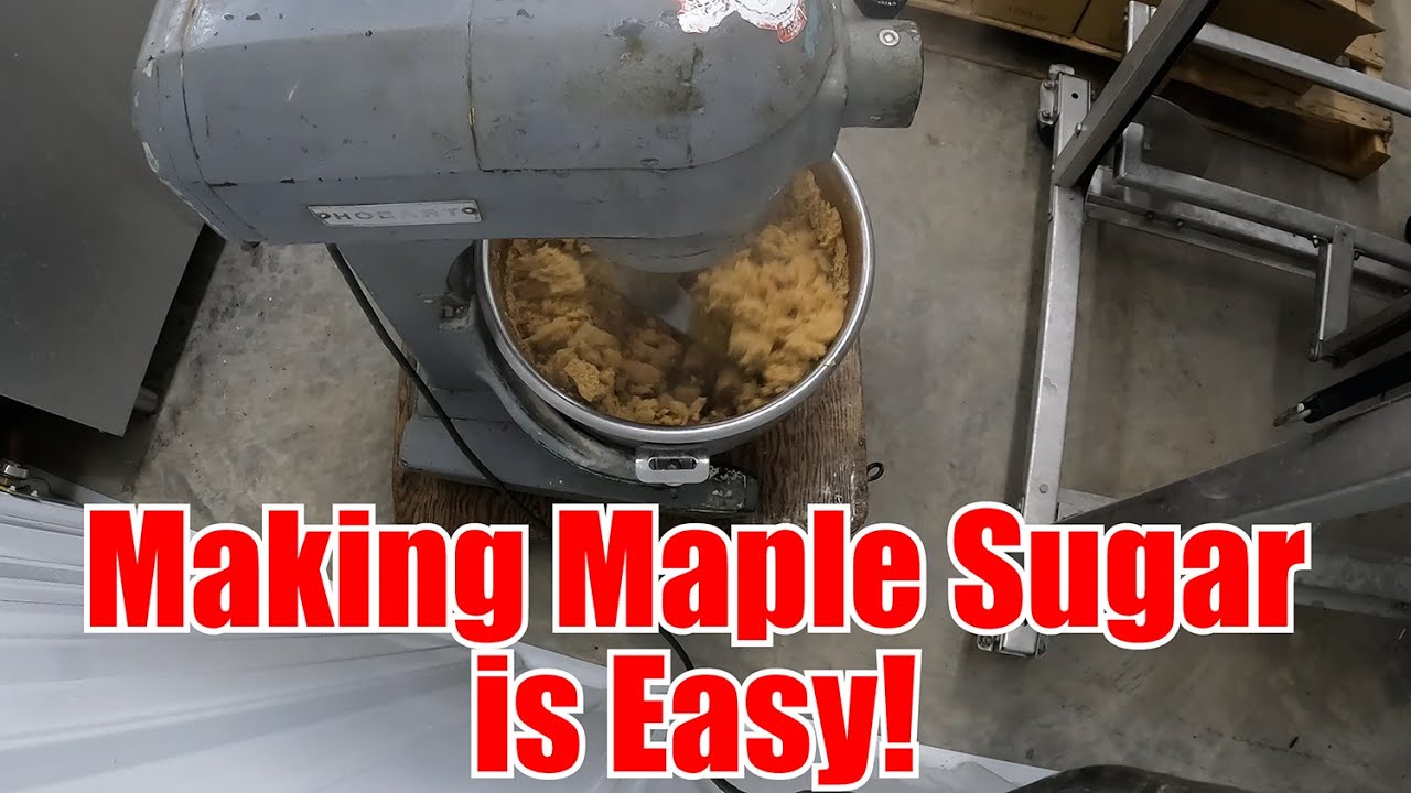 How to Make Maple Sugar - YouTube