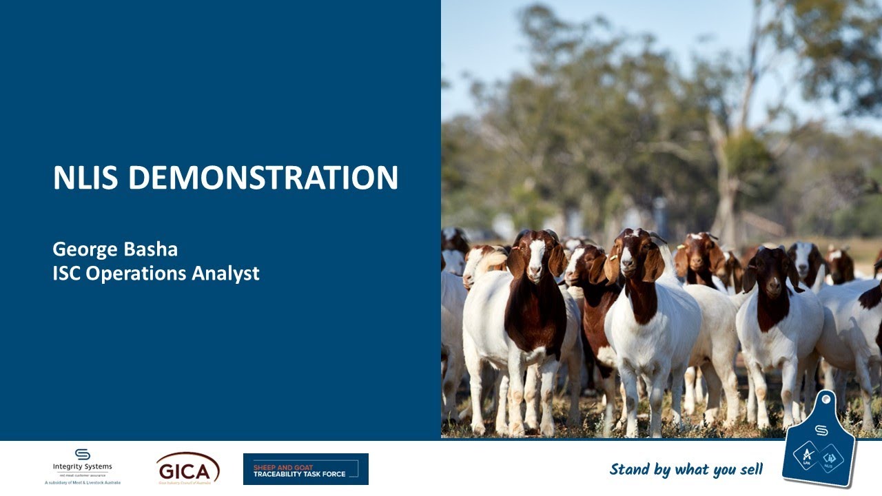 How To Do eID Property To Property Transfers On NLIS - YouTube