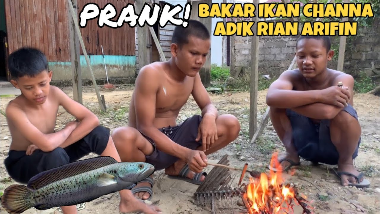 Prank! Bakar Ikan Channa Kesayangan Alwin Adik Rian Arifin - YouTube
