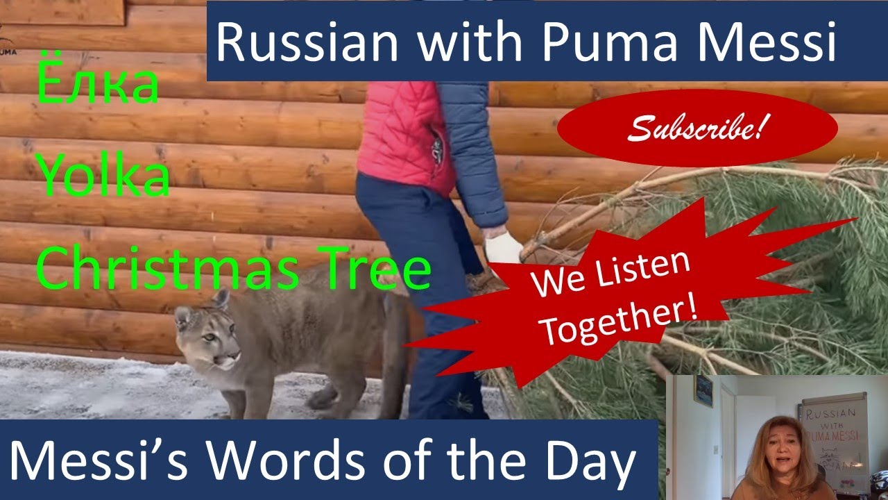 Messi's Word of the Day. Christmas Tree! Ёлка! We Meet Daddy with Our ...