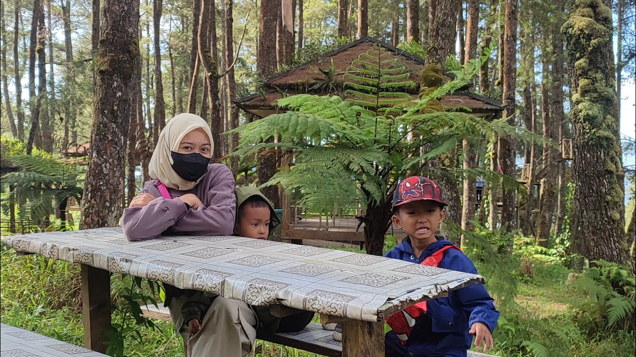 PERJALANAN KE OBJEK WISATA ALAM PANGO PANGO TORAJA ll NEGERI DI ATAS ...