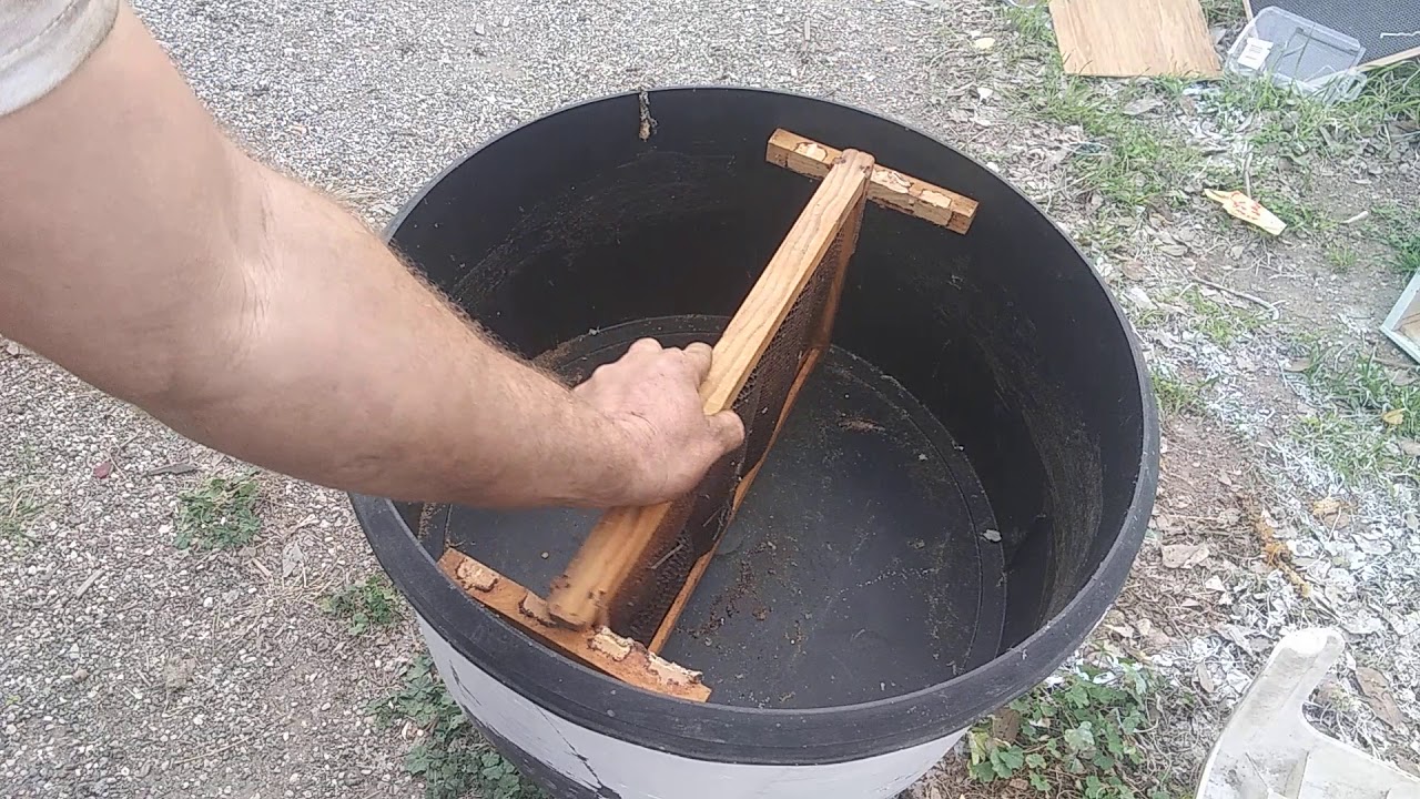 how to make a swarm trap for free - YouTube