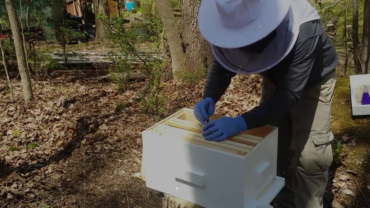 Unimatrix 01 - YouTube