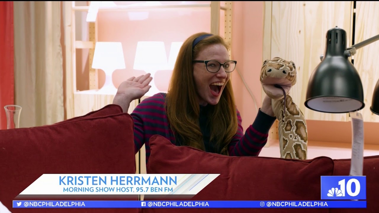 Local Radio Hosts Compete in Design Challenge at Philly Home Show ...
