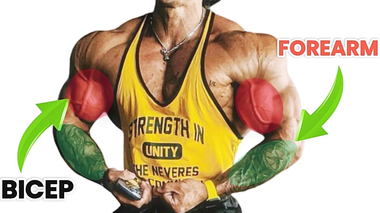 Best Bicep And Forearm Exercises To Build Big Hand Muscle | Bicep And ...