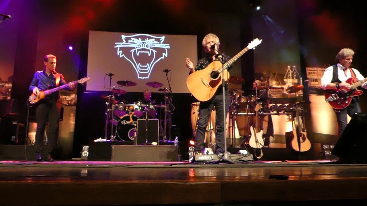 Tribute To The Cats Band / Without your love - YouTube