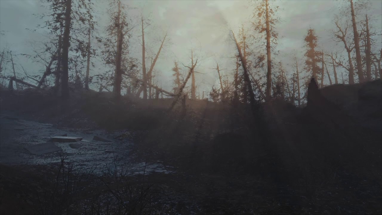 Fallout 4 - Far Harbor Rain Ambiance (thunder, crickets, rain) - YouTube