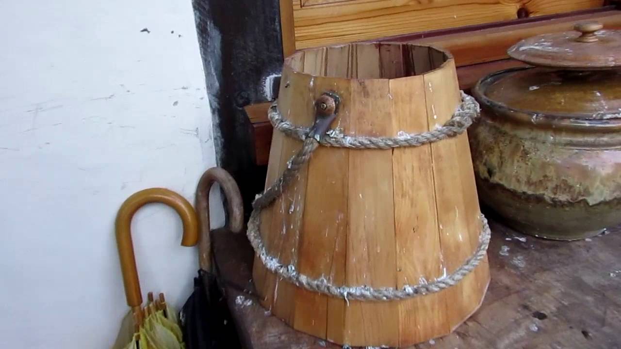 coo in bucket, dove, pigeon, feed, grain - YouTube