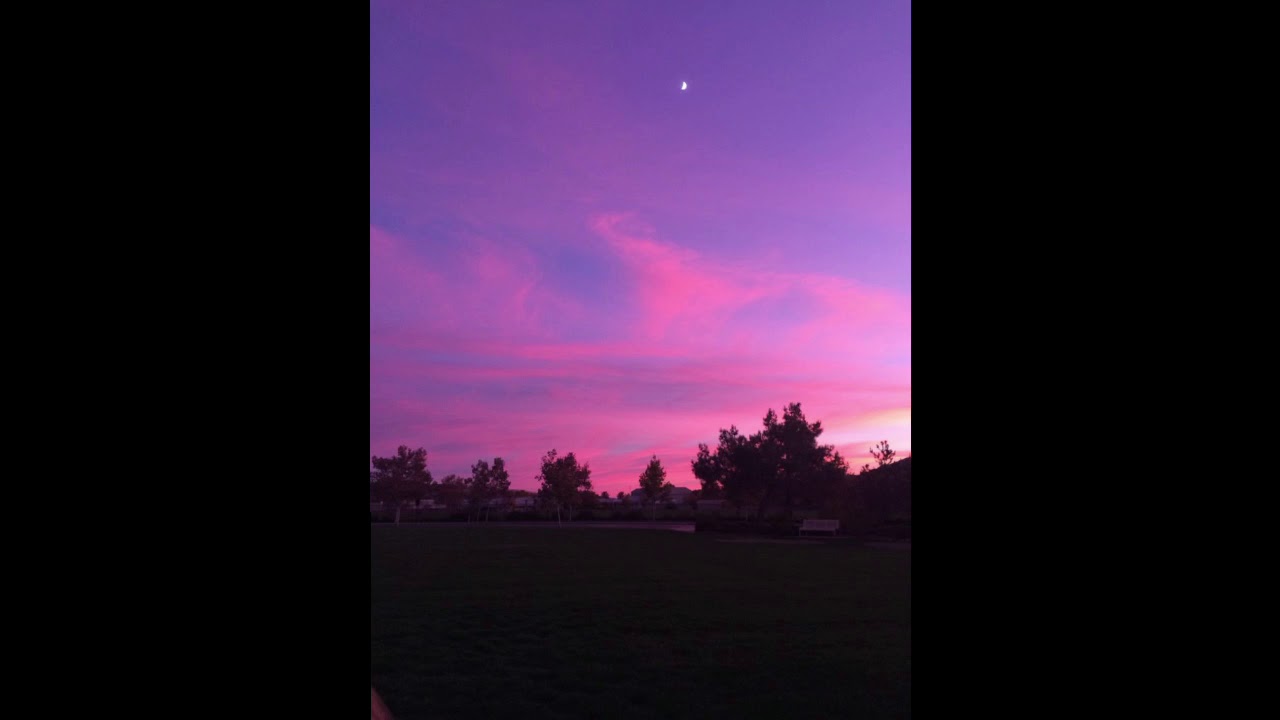 TREFUEGO - Miss Me (slowed + reverb) [1 HOUR] she lie to your face ...