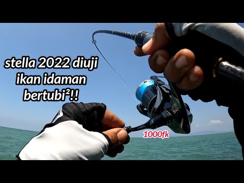 Tinggal Atau Ditinggalkan? Tersepit Ikan Sedang Rancak! - #CD169 - YouTube