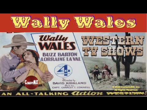 Sundown Trail (1934) | Full Movie | Wally Wales | Hal Taliaferro | Fay McKenzie | James Sheridan