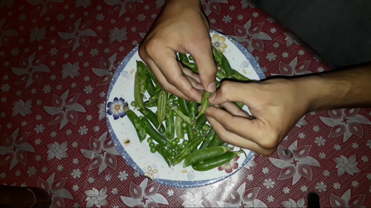 ASMR- Green Peas vegetables | Cracking Tapping Tingling | Feel relaxing ...