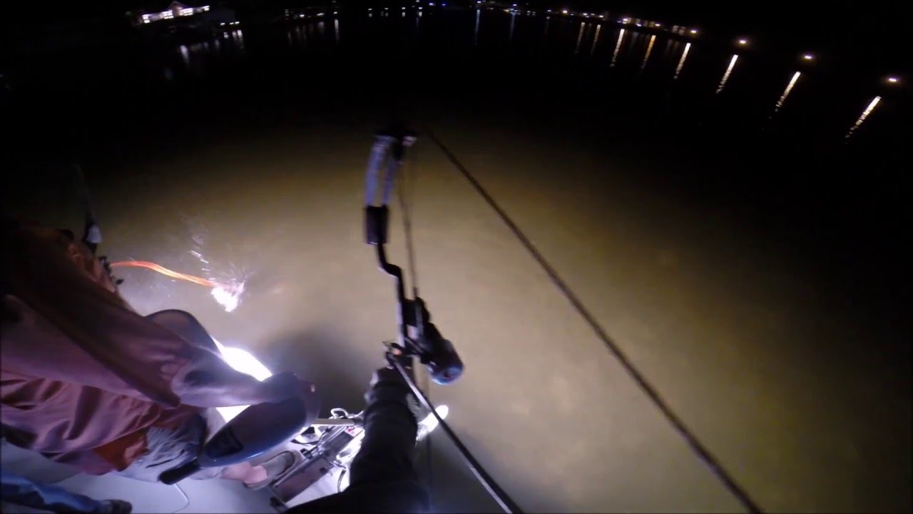 Bowfishing at night in Alabama - YouTube