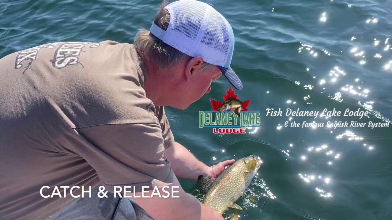 Catch & Release - YouTube