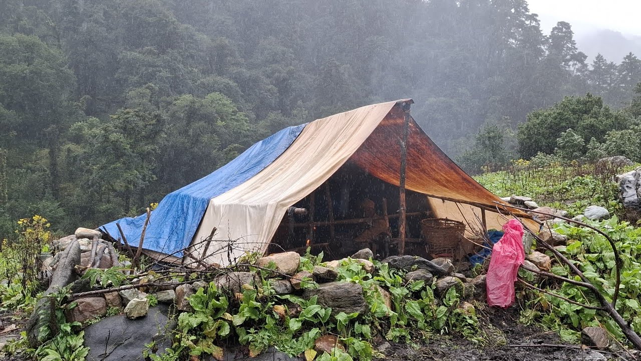 Naturally Peaceful & Beautiful Himalayan Mountain Village Life in Rainy ...