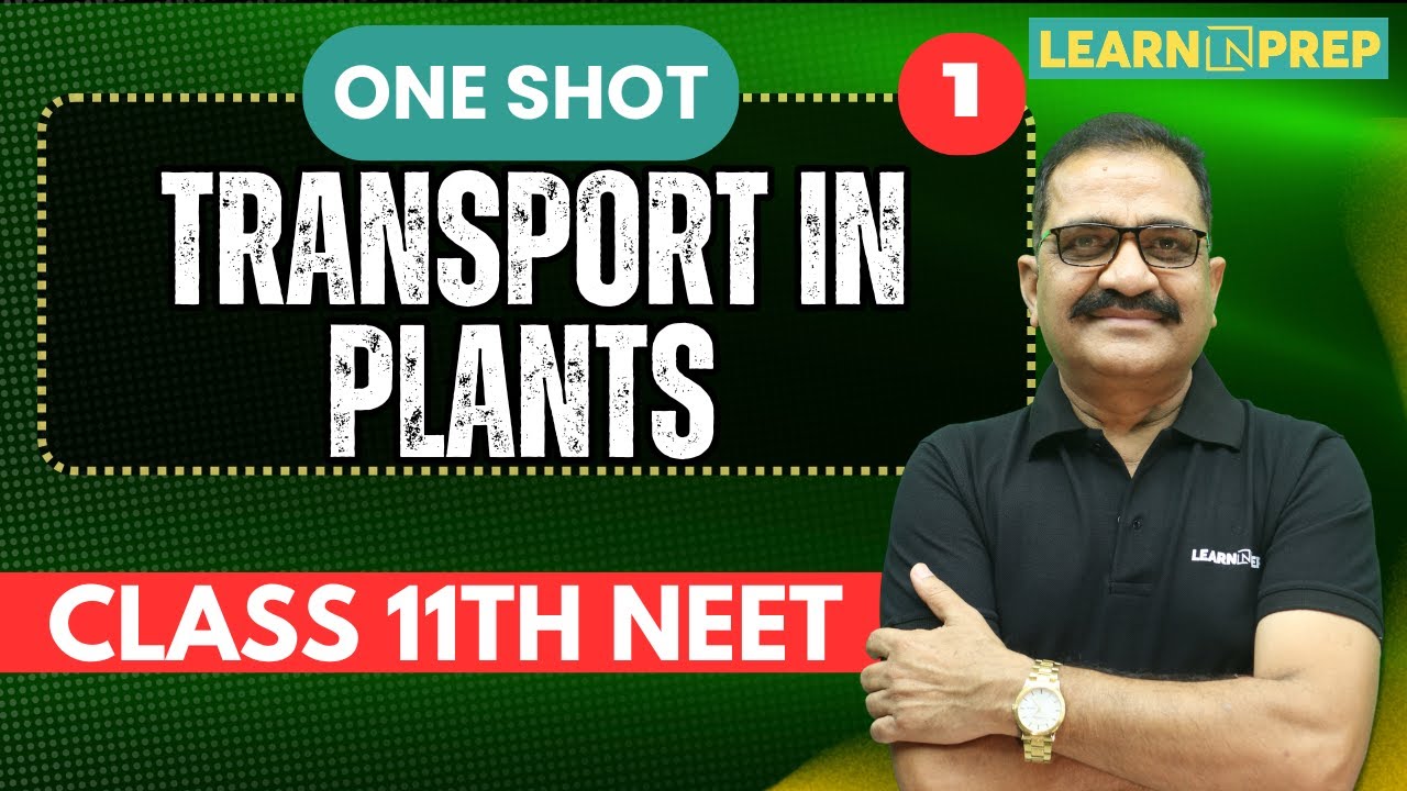 Transport in ONE SHOT PART-1| NCERT Class 11th Botany | Chapter 8 ...