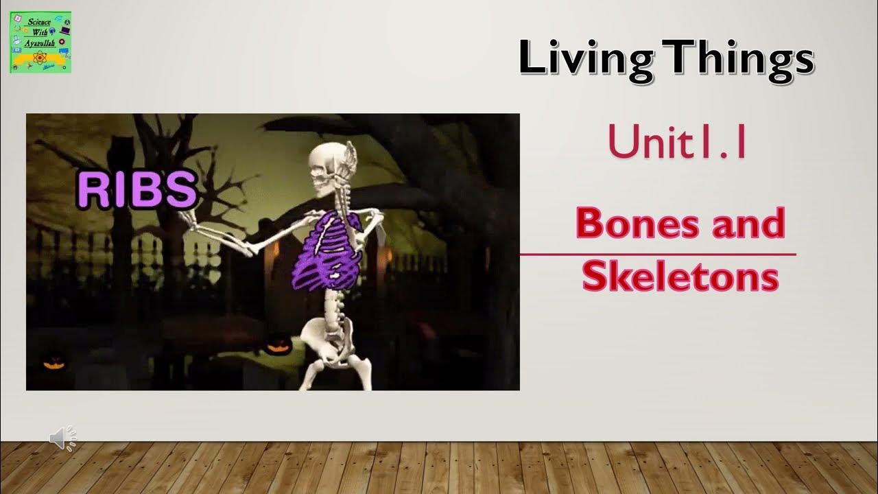 Bones and Skeleton| Cambridge primary Science | Lesson with Pictures ...