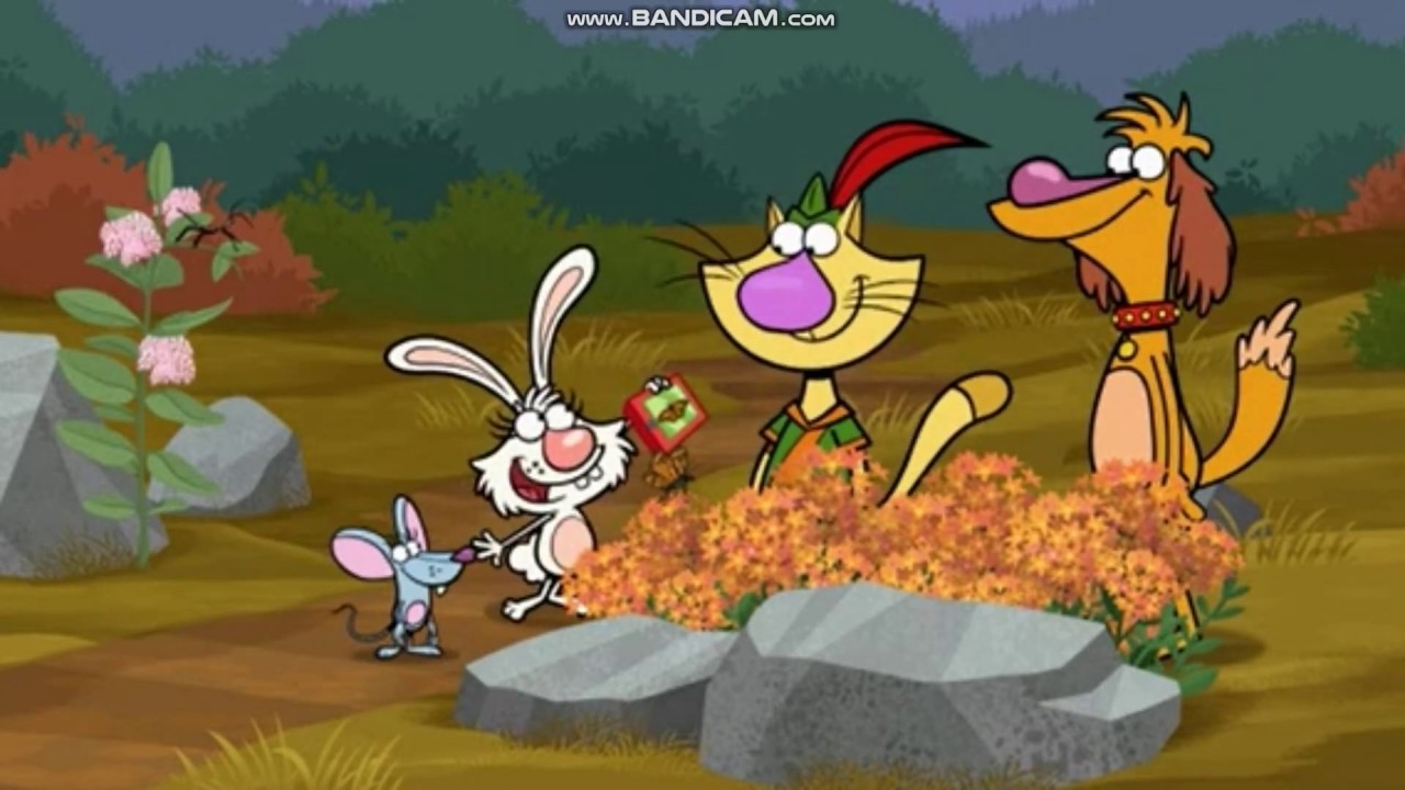 Nature Cat So You Think You Know Nature (Part 1) - YouTube