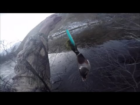 Redneck Duck Retriever - YouTube