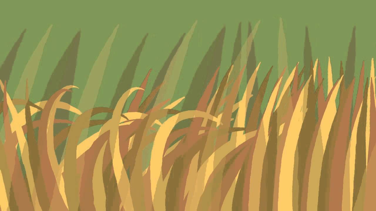 Grass Dancing in the Wind - YouTube