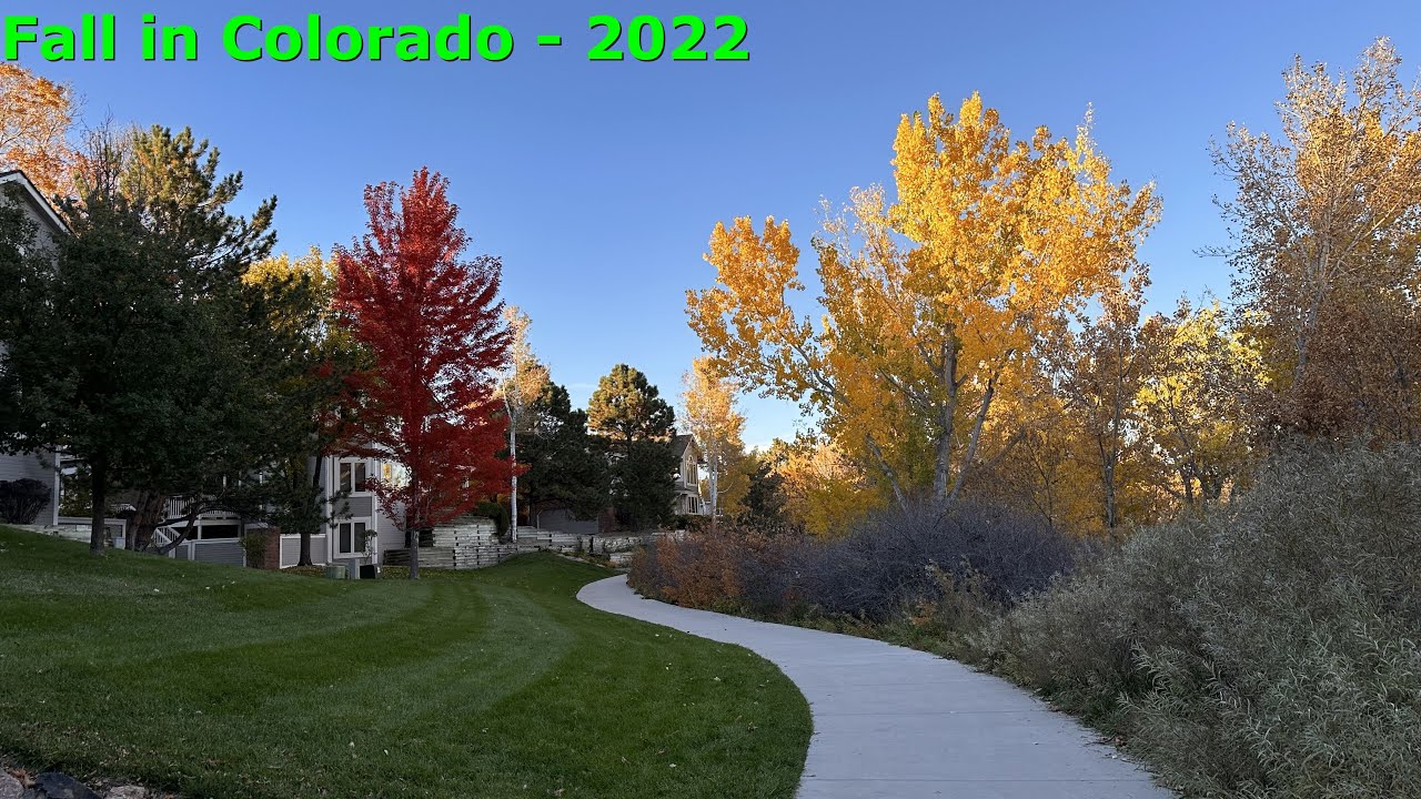 Beautiful Colorful Fall 2022 in Colorado, USA - YouTube