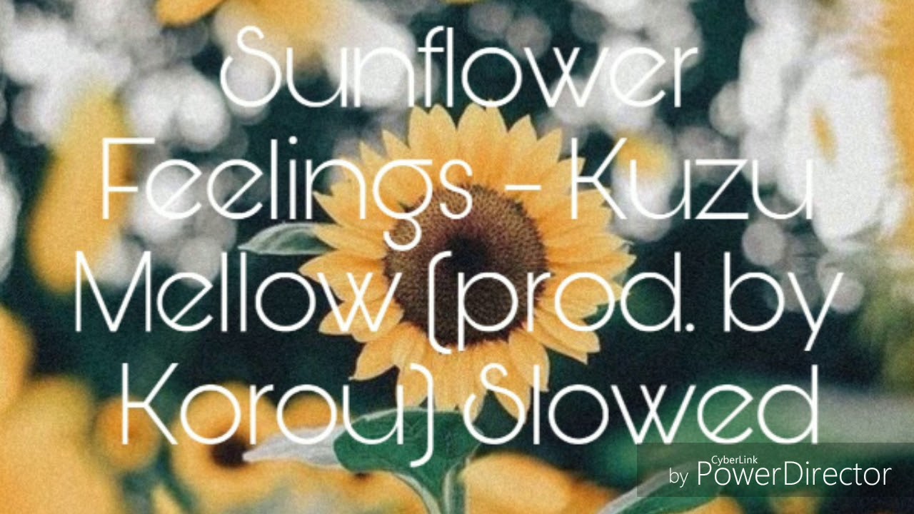 sunflower feelings by kuzu mellow (prod. by korou) slowed - YouTube