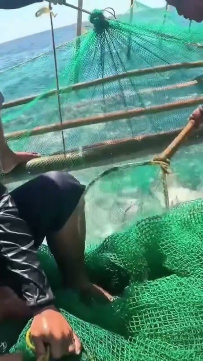 Talakitok ang dami huli #fishing - YouTube