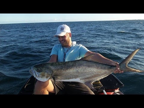 Big fish leccia amia 8kg and 14kg light spinning double strike! - YouTube