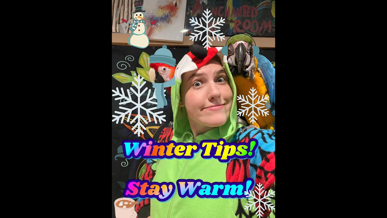 Tips for Keeping Birds Warm in the Winter! - YouTube