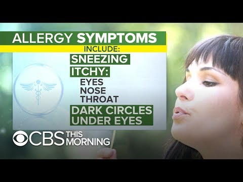 Seasonal allergies: How age impacts body's response