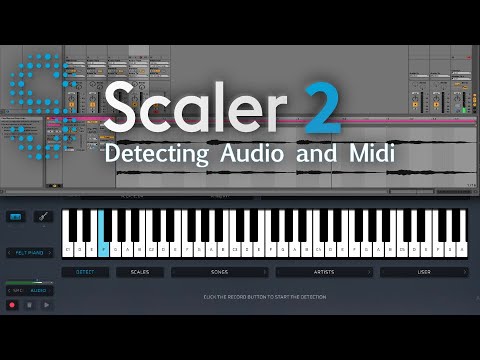 Scaler 2 Workflow | Audio & Midi Detection