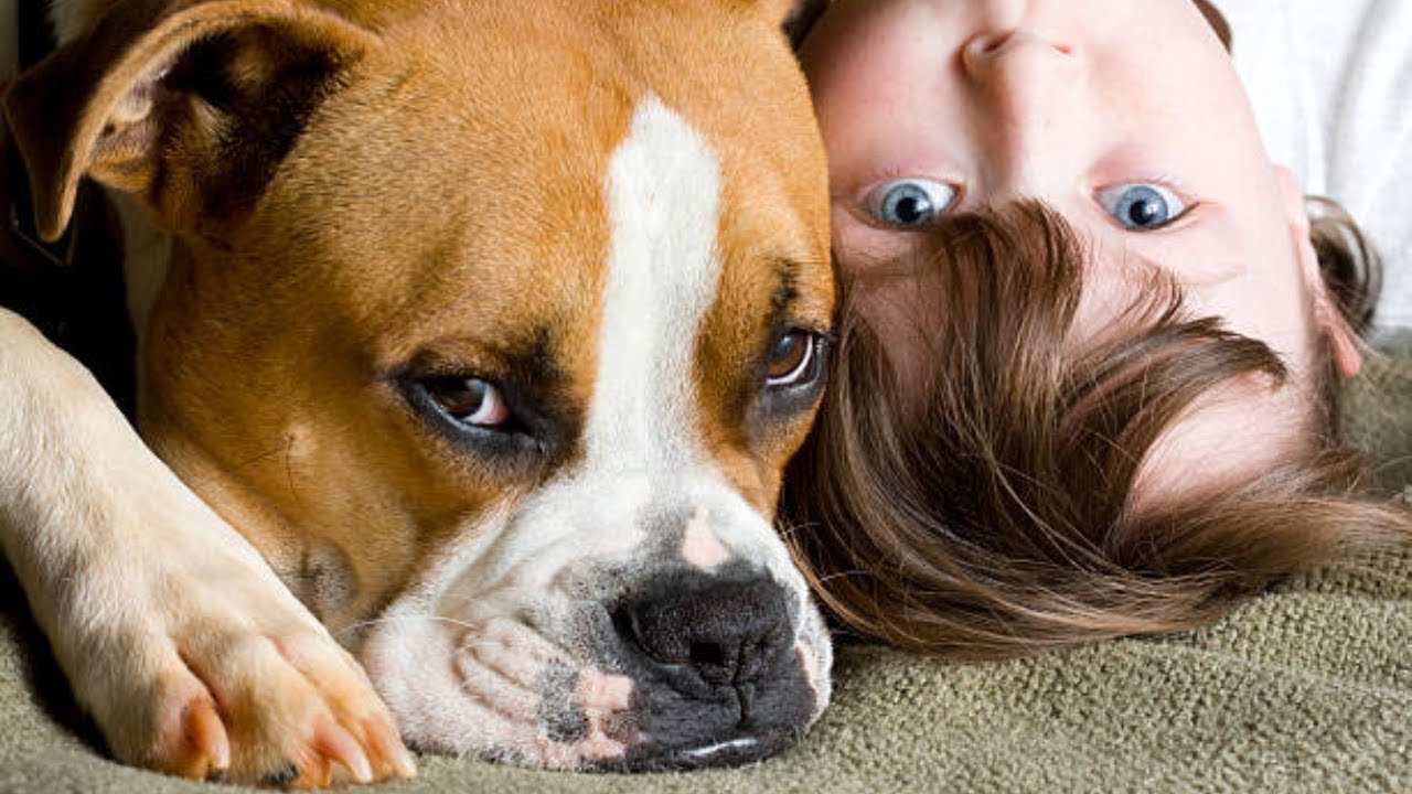 DISCOVER!!! Dogs You Can Have Around Children #understandingdogs # ...