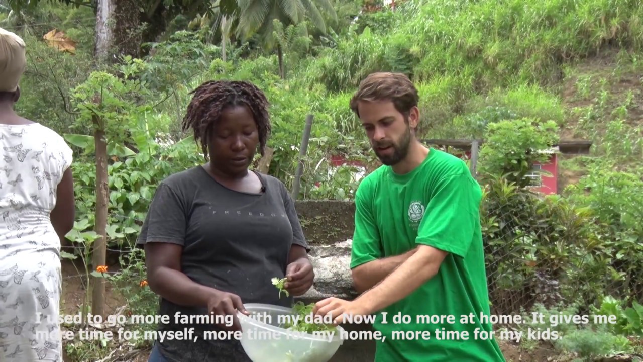 Home gardens in St. Vincent with Richmond Vale Academy - YouTube