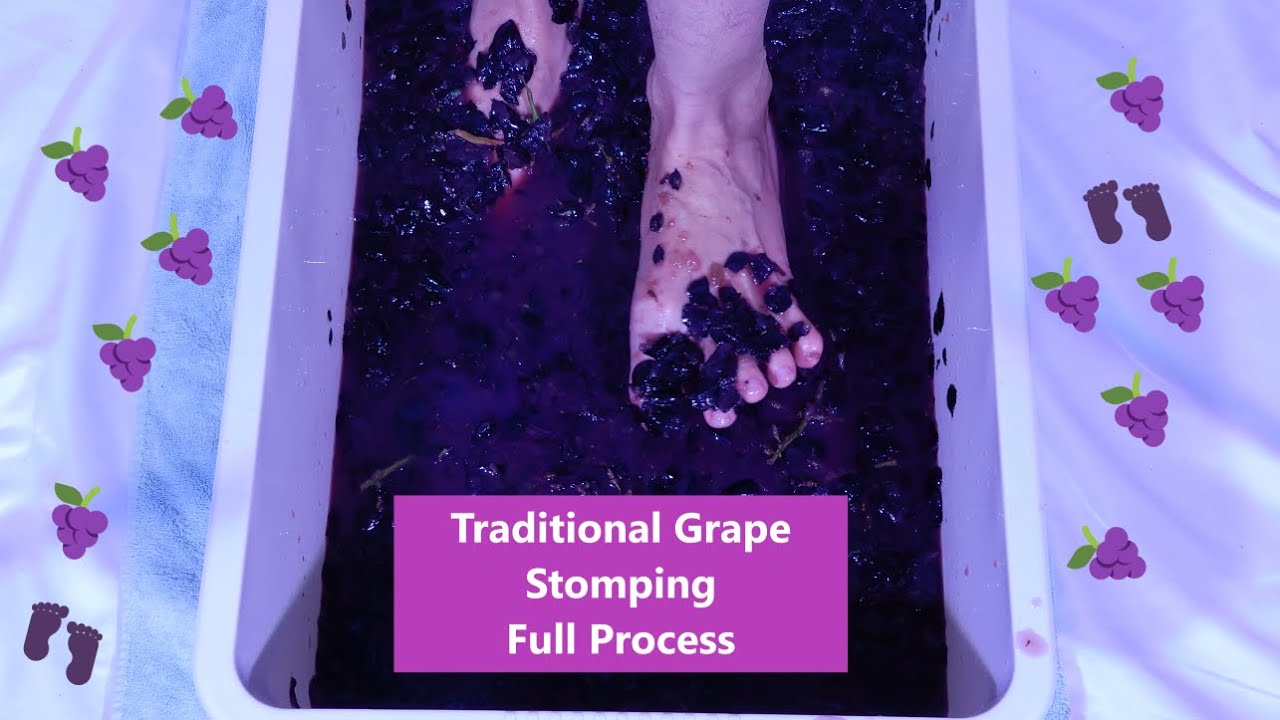 ASMR - Complete Traditional Grape Stomping Process - YouTube