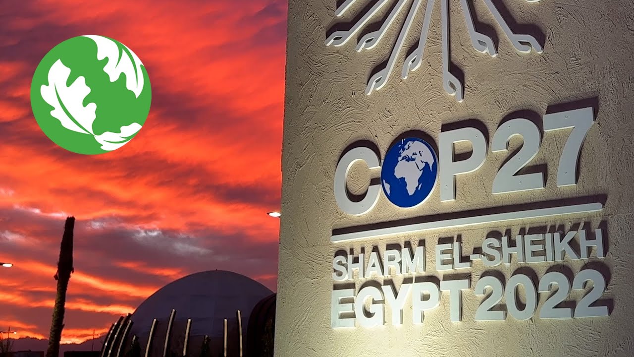 Reflections on COP27 - YouTube