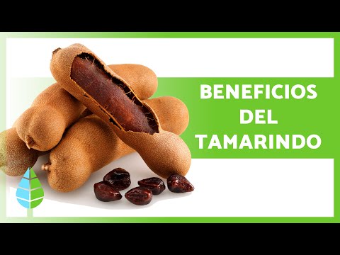 PROPIEDADES y BENEFICIOS del TAMARINDO 🥜✅ (Para qué SIRVE, Cómo Tomarlo y Contraindicaciones)