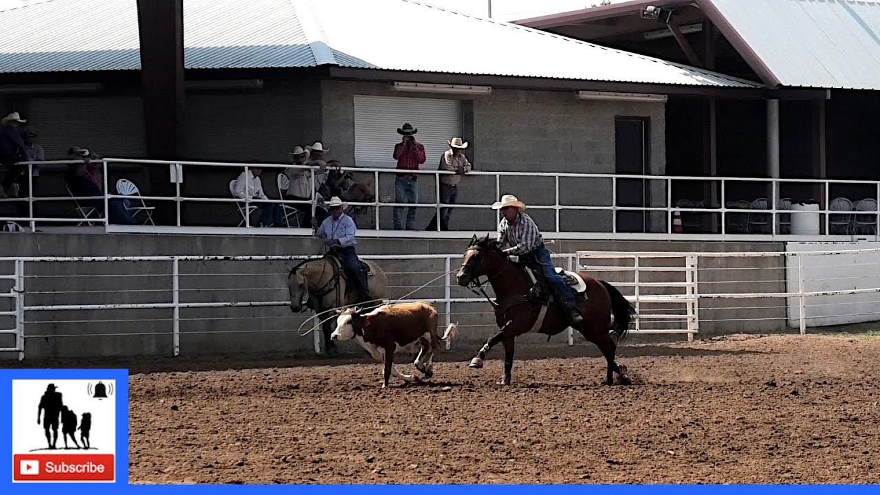 Steer Roping 1st Go 🐂 2021 Spicer Gripp Memorial Roping - YouTube
