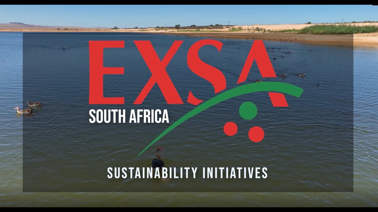 Sustainable Table Grape Farming Exsa long - YouTube
