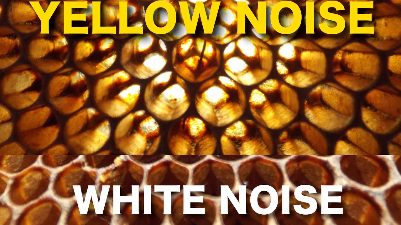 Yellow Noise: Mic inside honey beehive tour - YouTube
