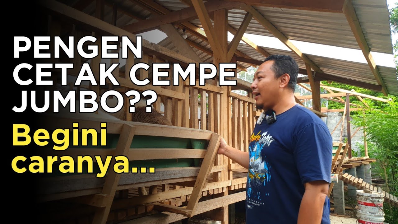 PENTING‼️Trik cetak cempe jumbo - YouTube