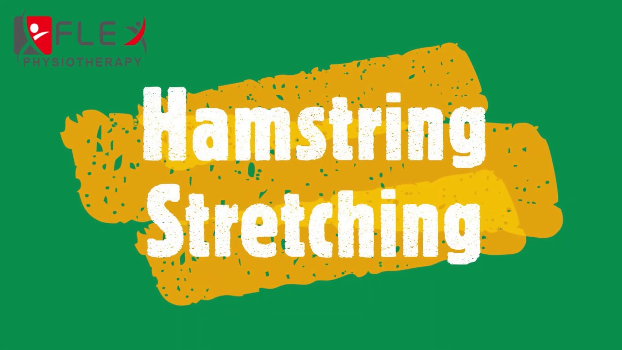 Regangan Hamstring - YouTube